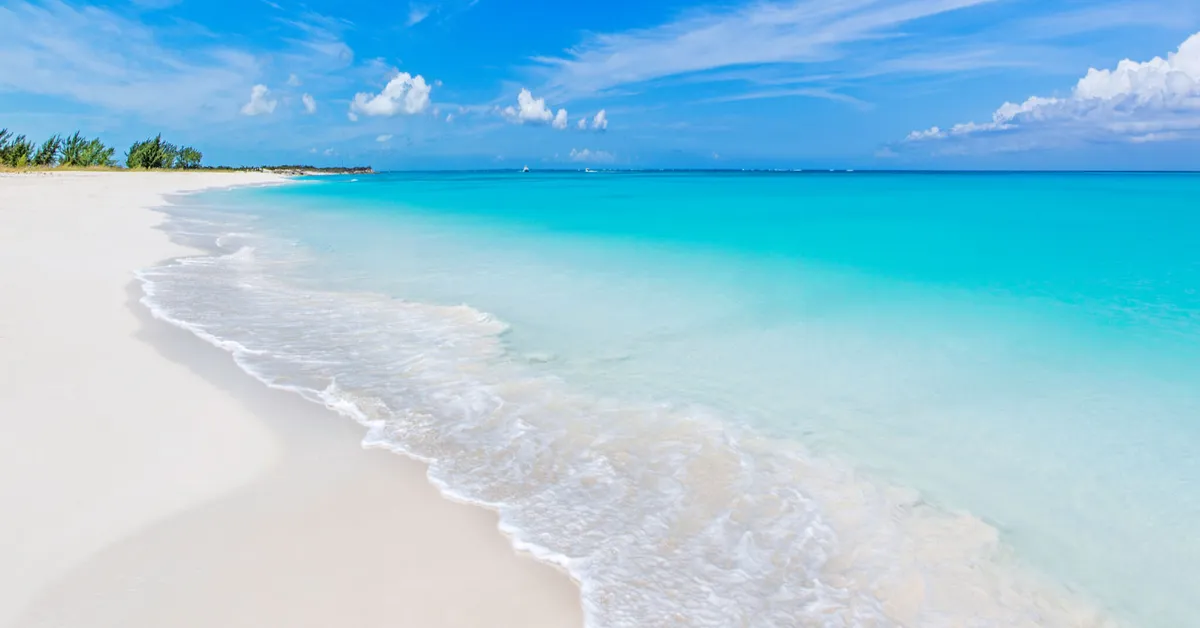 The Top 5 Beach Resorts in Turks and Caicos - Best Beach Reviews